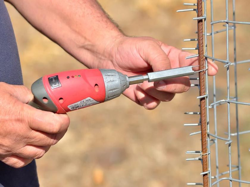 Tree guard cattle, tree protector cattle - Cactus Tree Guards, Cumbria, UK