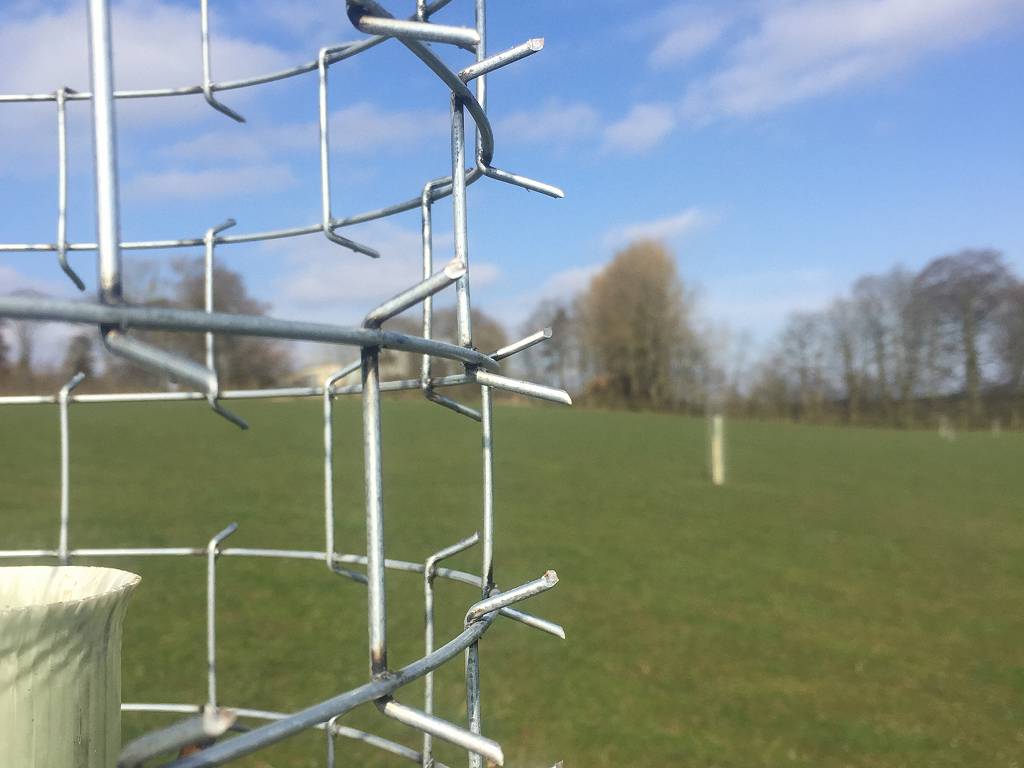 Tree guard livestock, tree protector livestock - Cactus Tree Guards ...