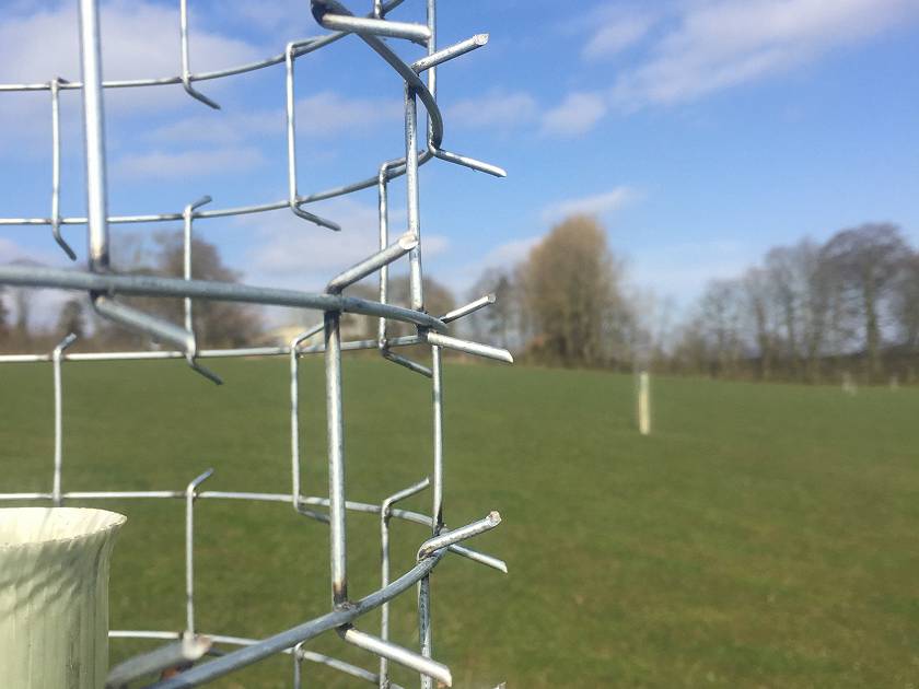 Tree guard livestock, tree protector livestock - Cactus Tree Guards ...