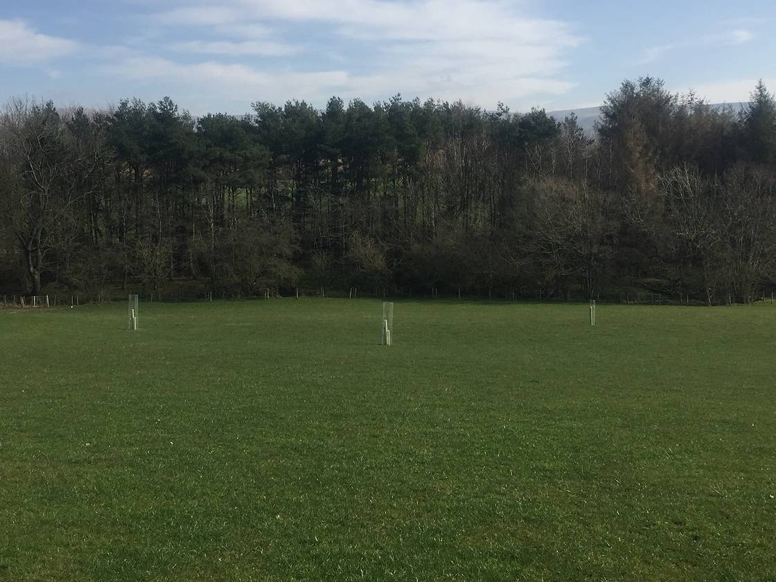 Tree guard livestock, tree protector livestock - Cactus Tree Guards ...