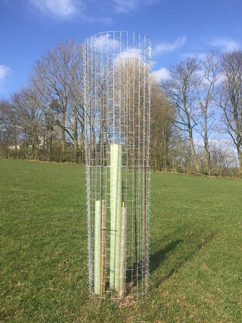 Tree guard pasture, tree protector pasture - Cactus Tree Guards ...